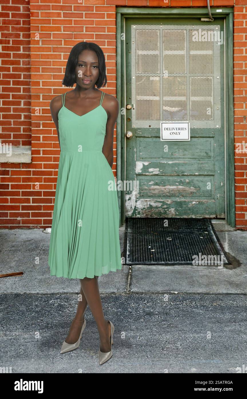 Beautiful young attractive African American woman modeling a pose Stock ...