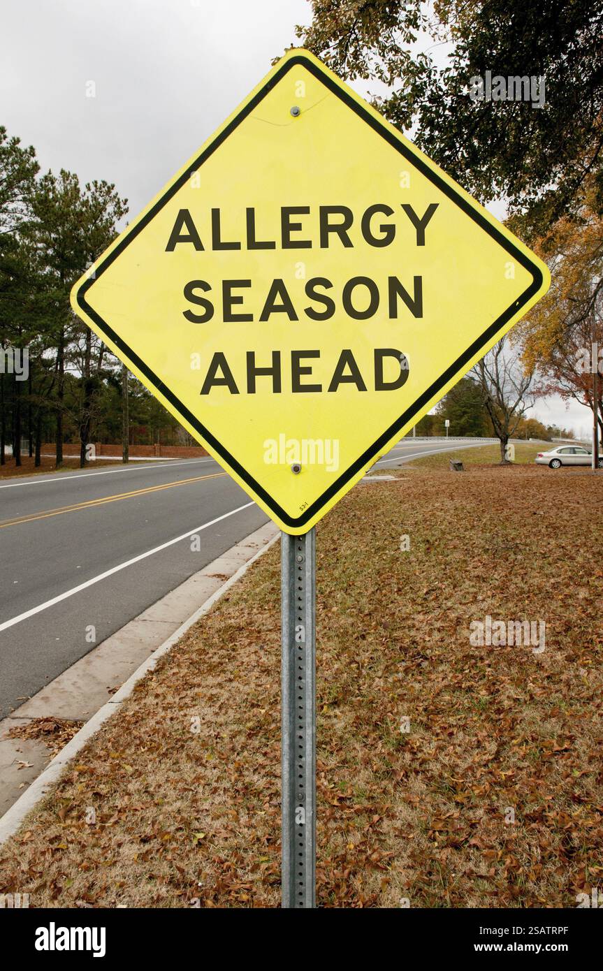 Yellow allergy season ahead highway road sign Stock Photo - Alamy