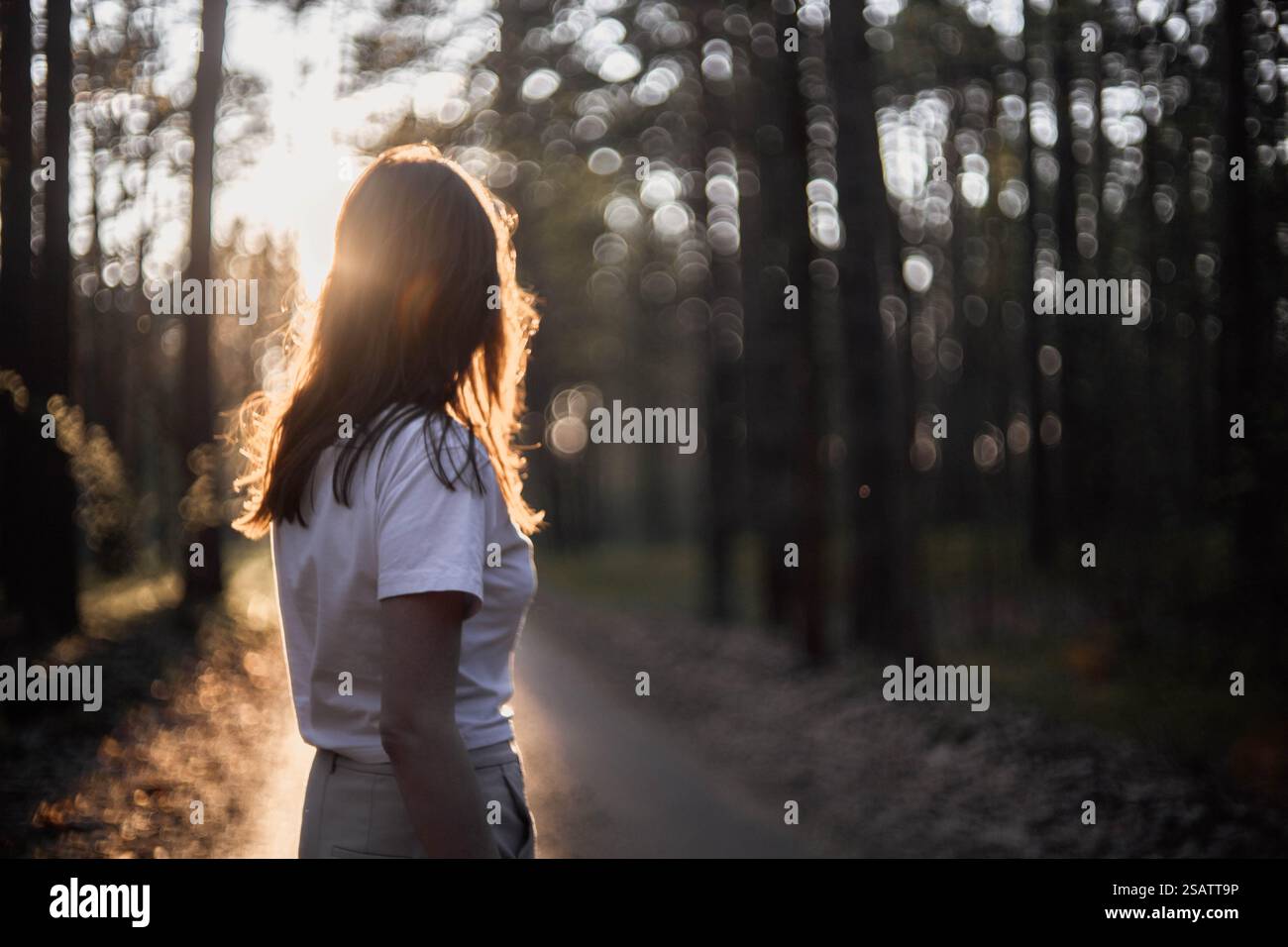 Woman walking along a forest path, embraced by sunlight, alone and at ...