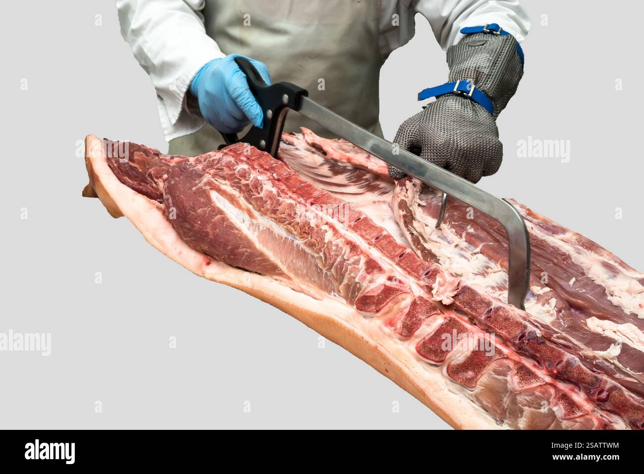 Butcher is Cutting pork carcass with hand saw and using safety metal ...
