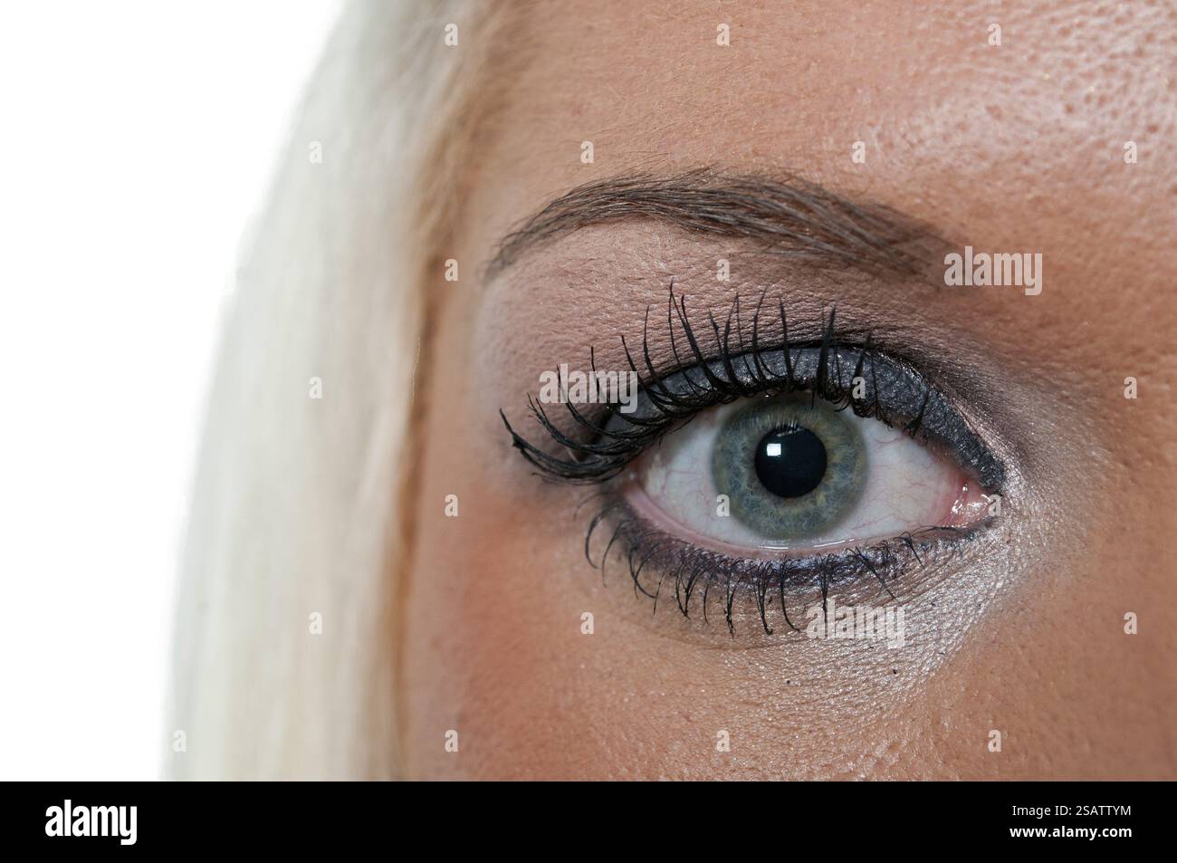Eye of a very beautiful young woman Stock Photo - Alamy