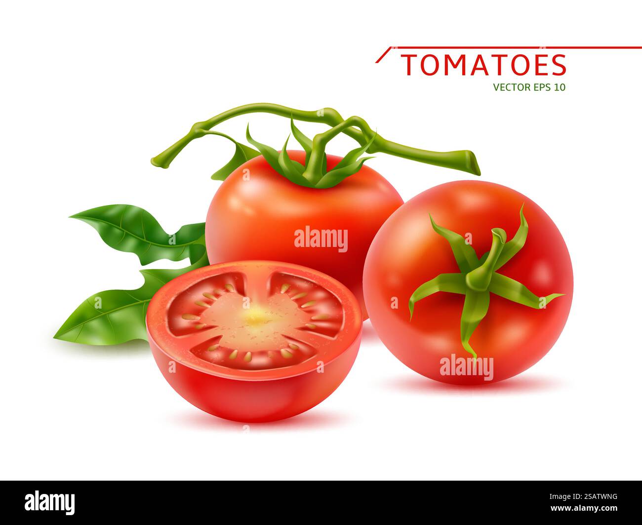 Realistic tomatoes in simple composition. Whole red vegetables and half ...