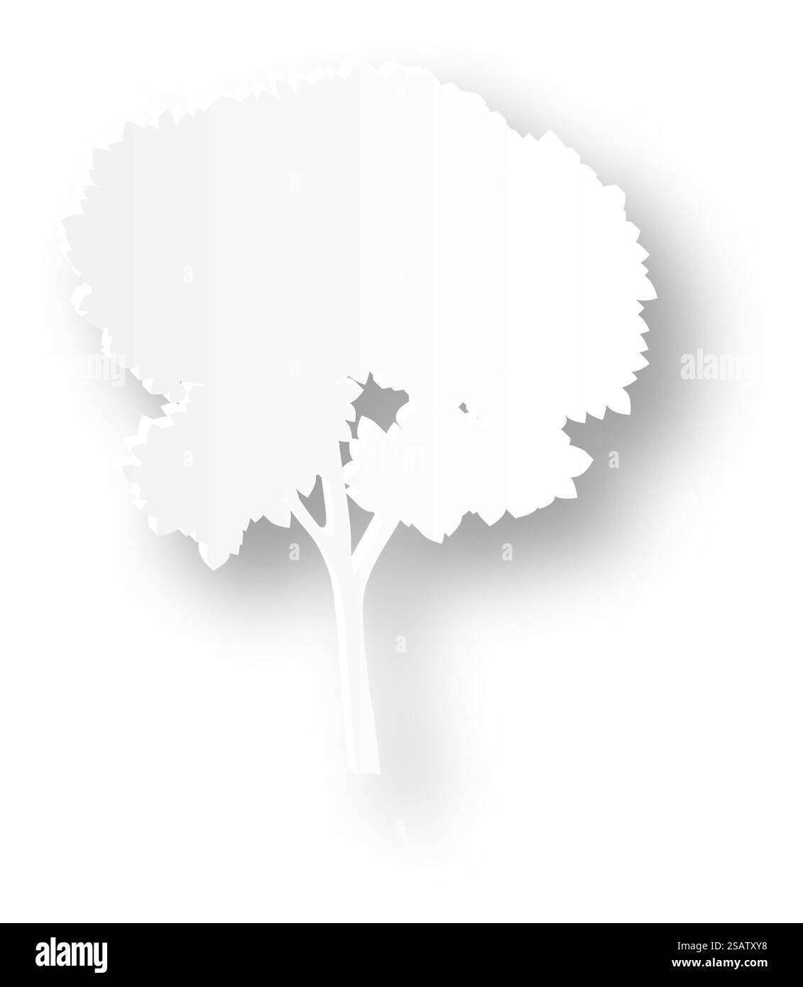 Paper cut tree. White realistic plant silhouette isolated on white ...