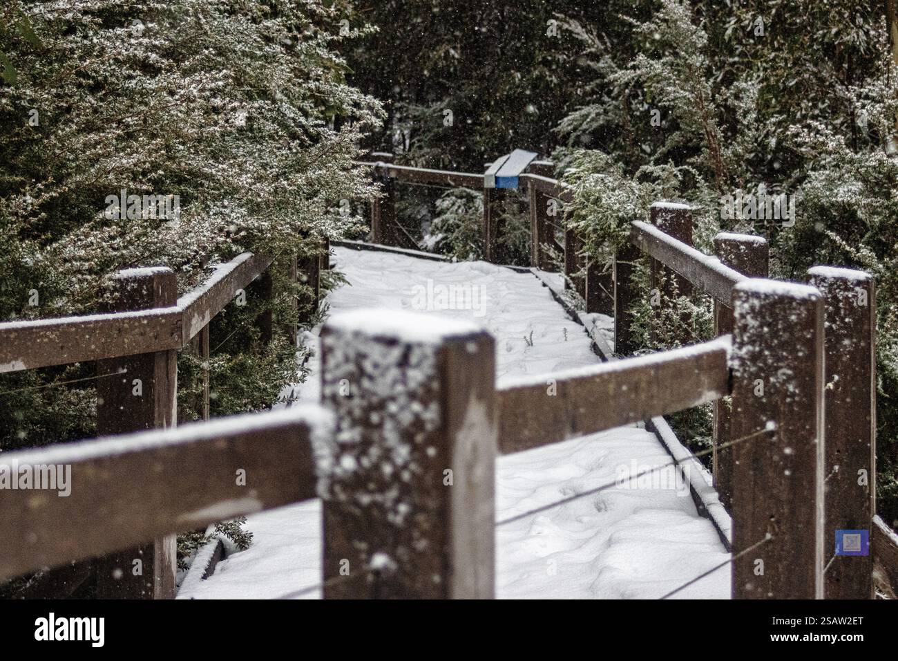 Snow on Lake Mountain Victoria Australia creating a very scenic and ...