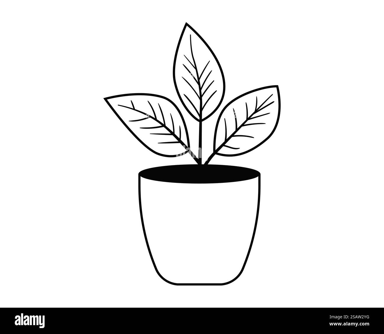 Home plant growth Black and White Stock Photos & Images - Alamy