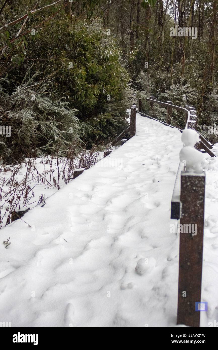 Australian snowscapes hi-res stock photography and images - Alamy