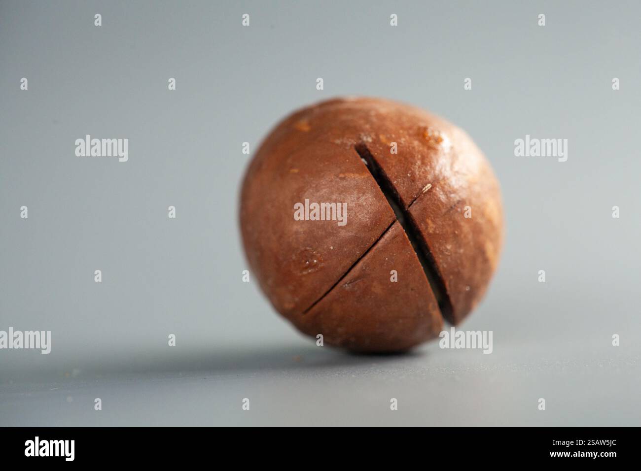 Close-up, studio-style photograph of a single macadamia nut Stock Photo ...