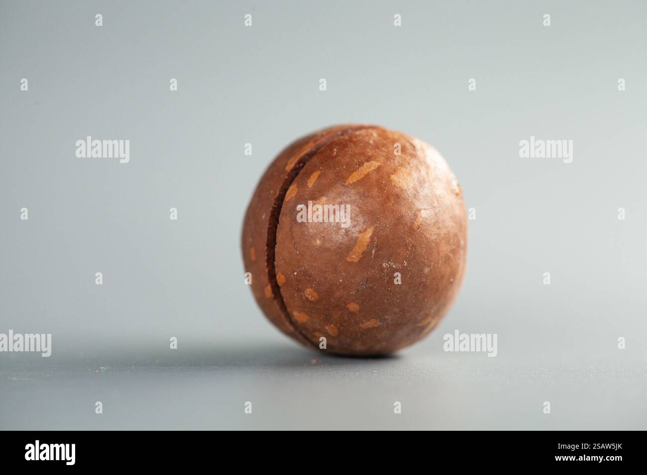 Close-up, studio-style photograph of a single macadamia nut Stock Photo ...