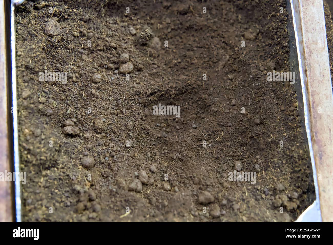 This image shows a close-up of loose tea powder inside a container. The ...
