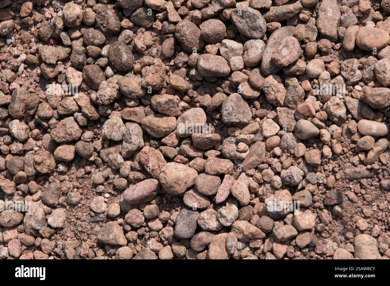 Detailed study on surface hi-res stock photography and images - Alamy