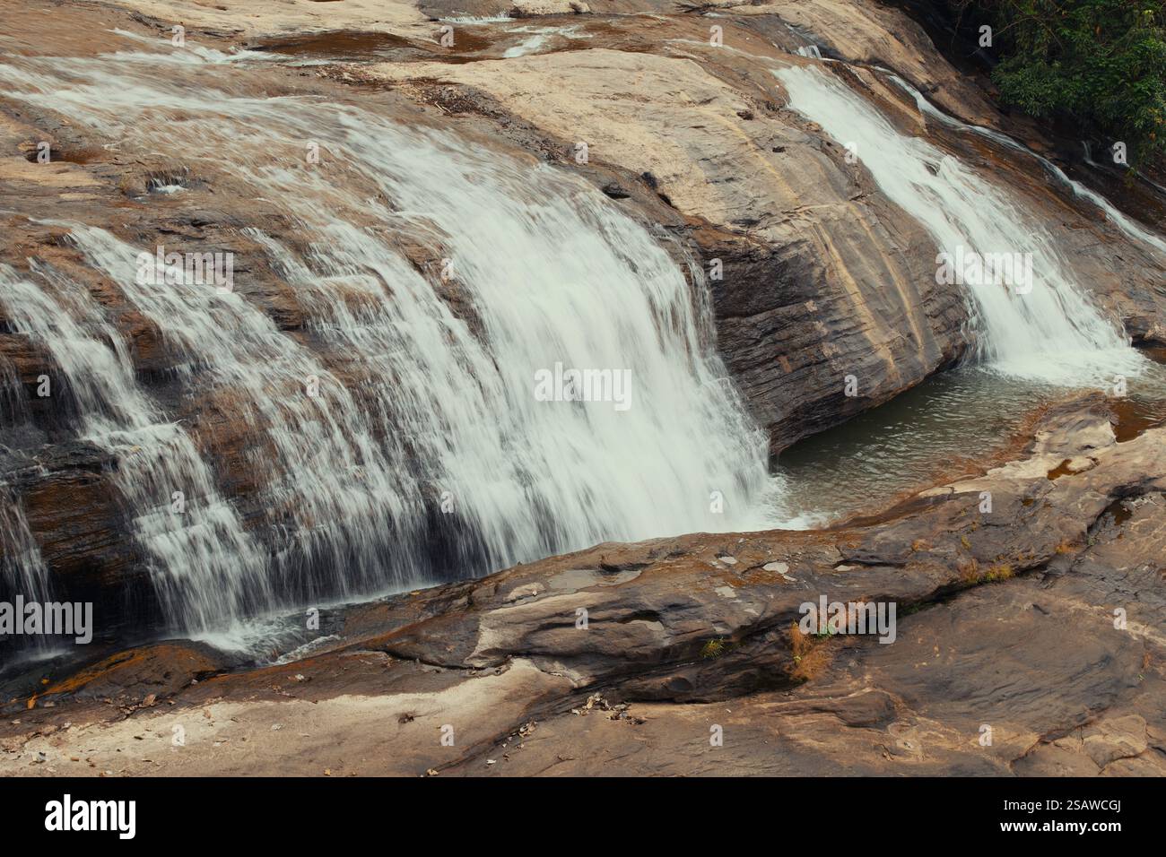 Discover the beauty of nature with this captivating image of a ...