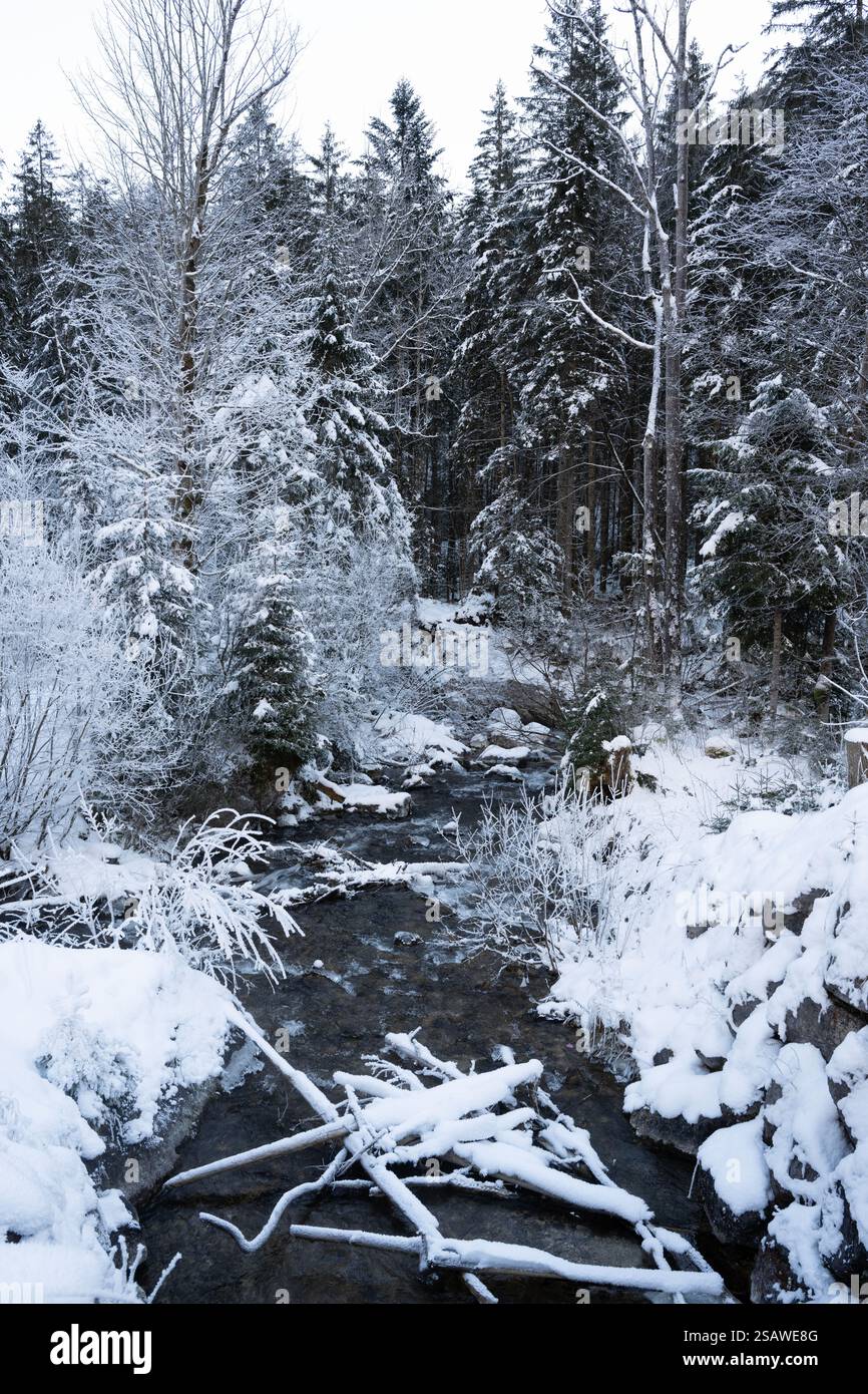 Ramsauer Ache River in the enchanted forest, winter, Berchtesgaden ...