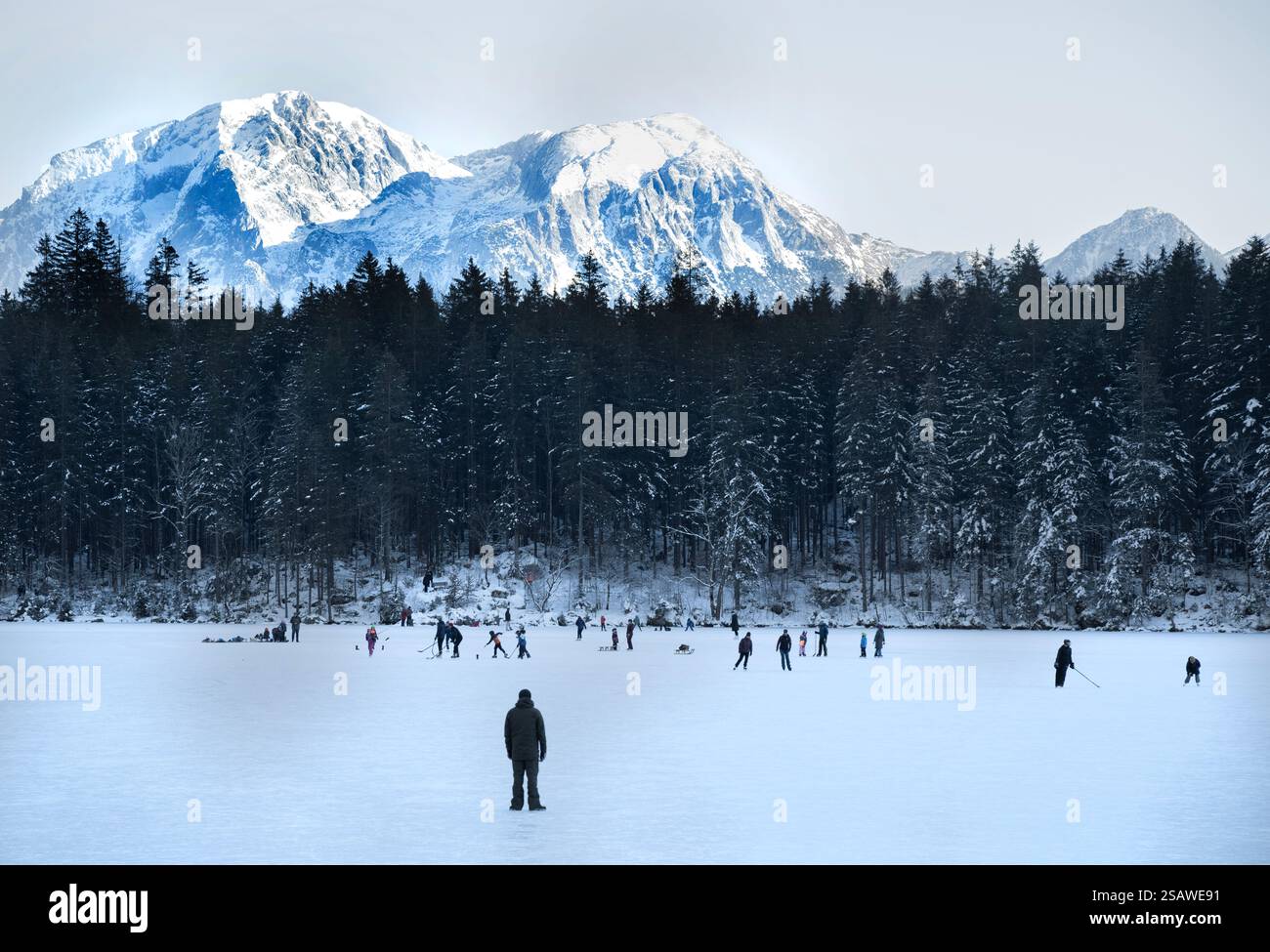 Zauberwald bavaria hi-res stock photography and images - Alamy