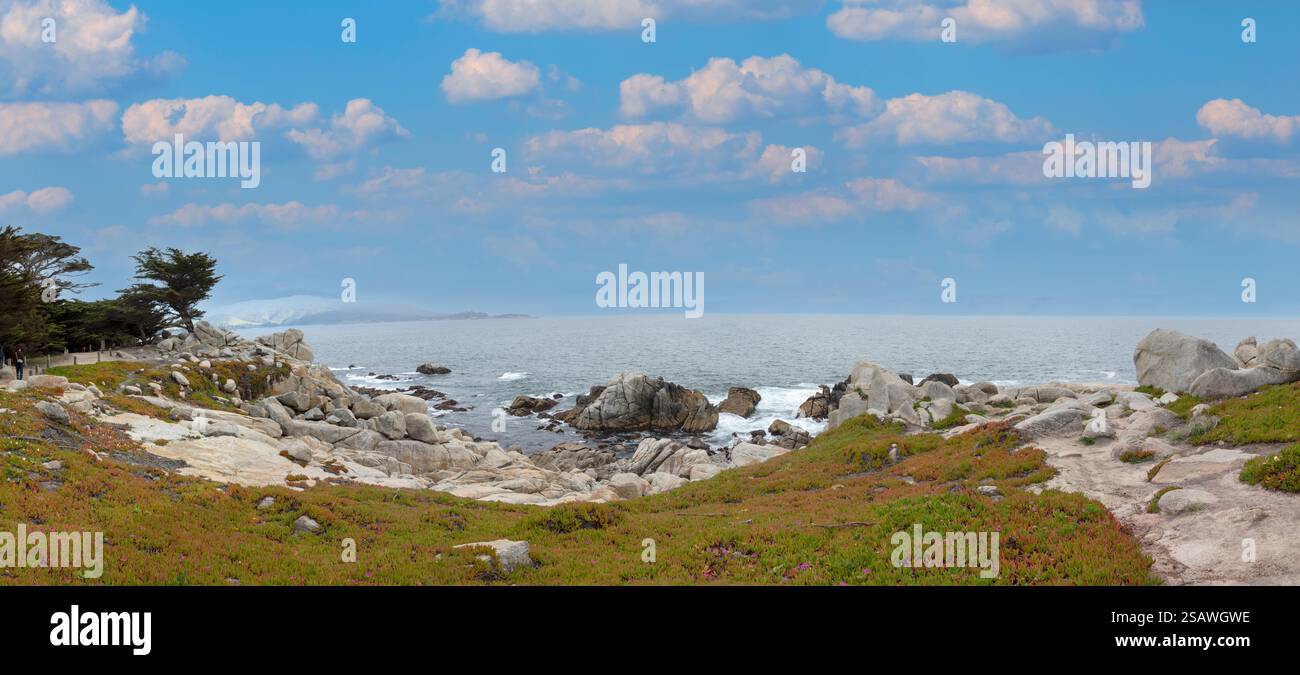 scenic landscape at pescadero point at seventeen mile drive near Pebble ...