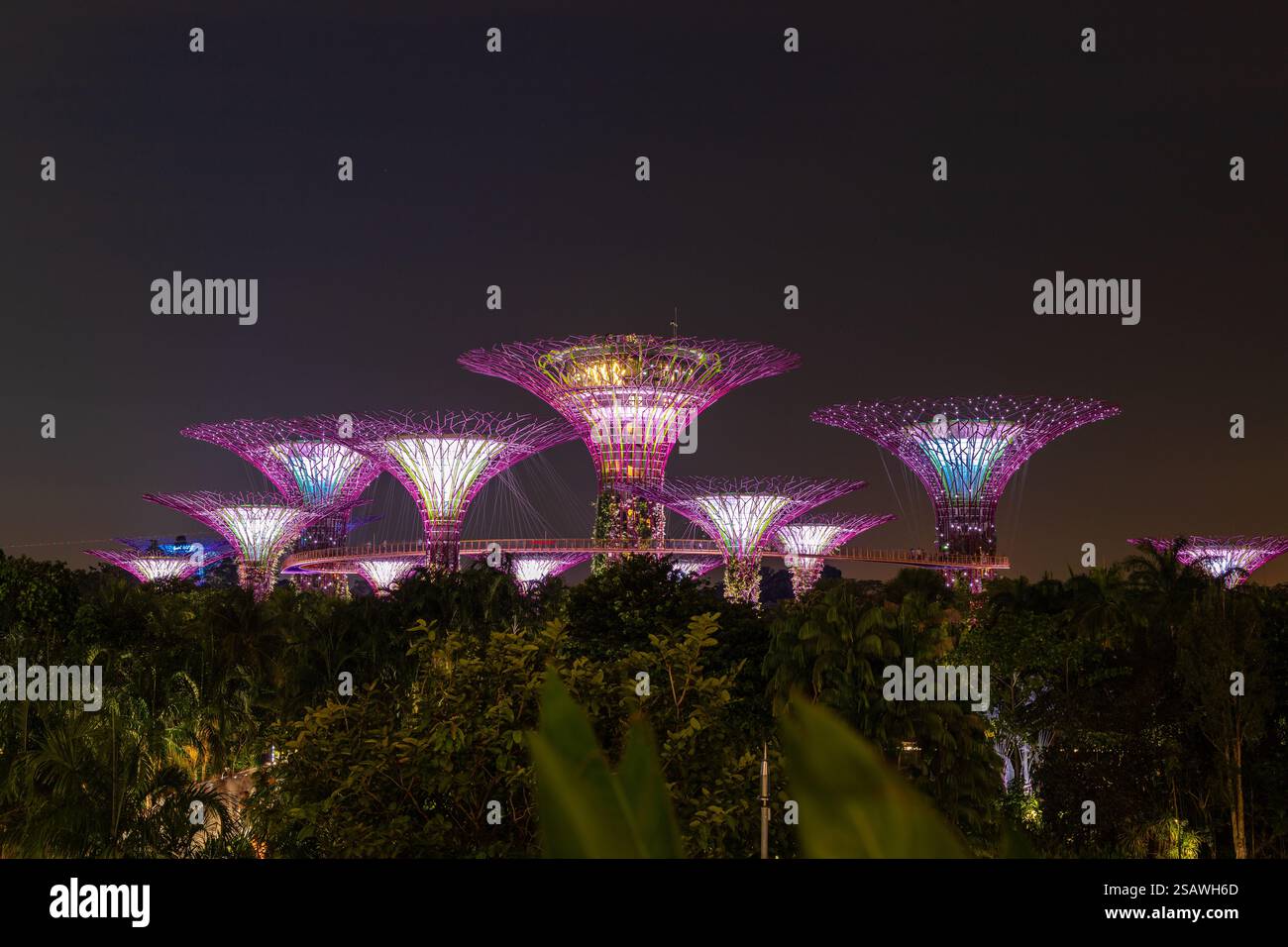 gardens by the bay light show illuminating the Supertree grove with its ...