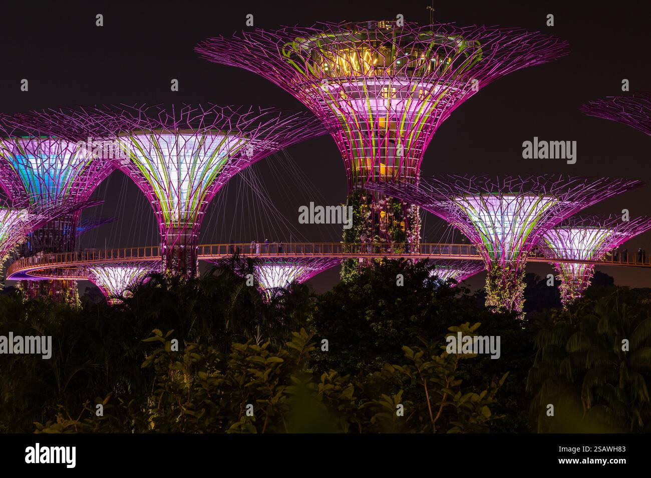 gardens by the bay light show illuminating the Supertree grove with its ...