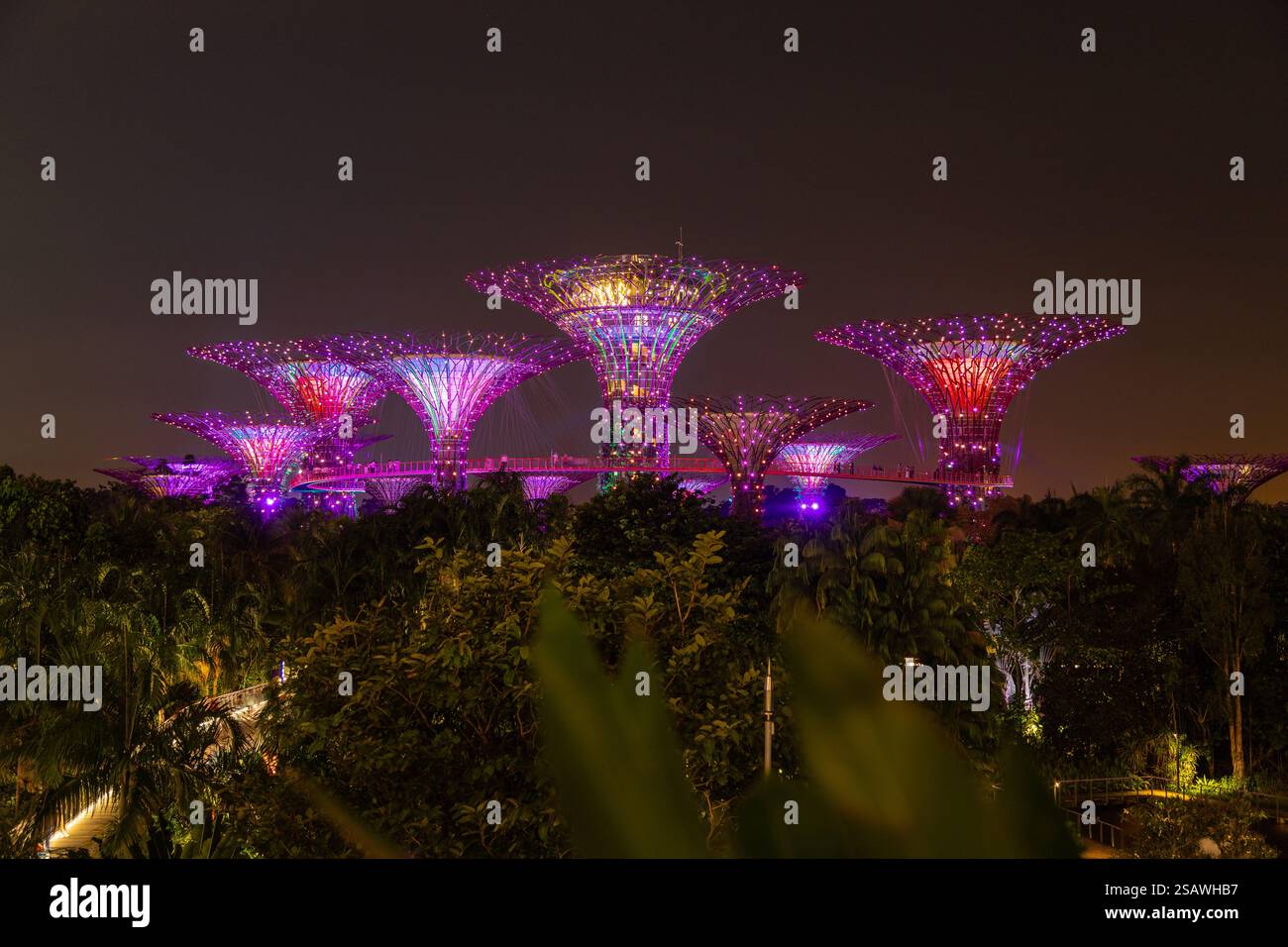 gardens by the bay light show illuminating the Supertree grove with its ...