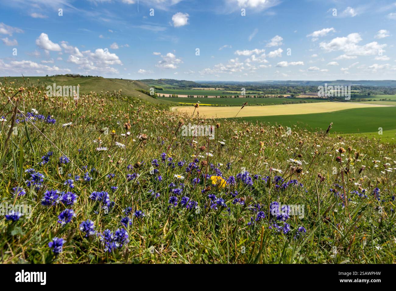 Pewsey hill hi-res stock photography and images - Alamy