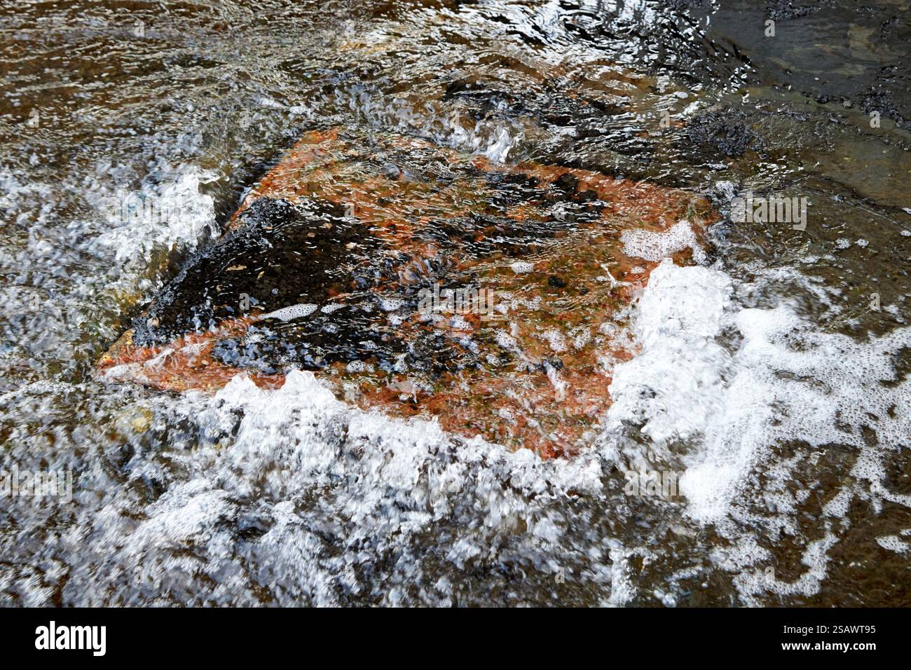 flooding bubbling up from burst fresh water main belfast, northern ireland, uk Stock Photo - Alamy