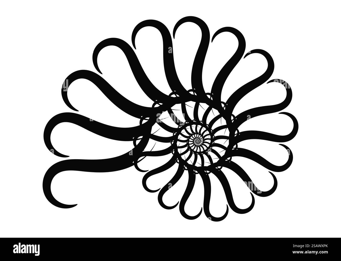 Swirling decorative lines Cut Out Stock Images & Pictures - Alamy