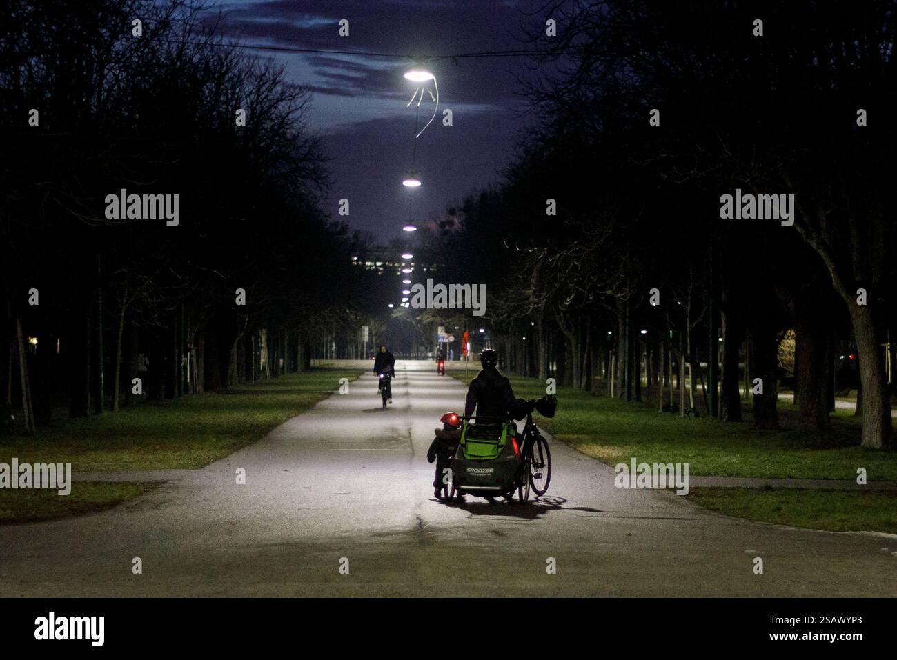 Vienna, Austria. 24th Jan, 2025. Cyclist with trailer and child in the ...