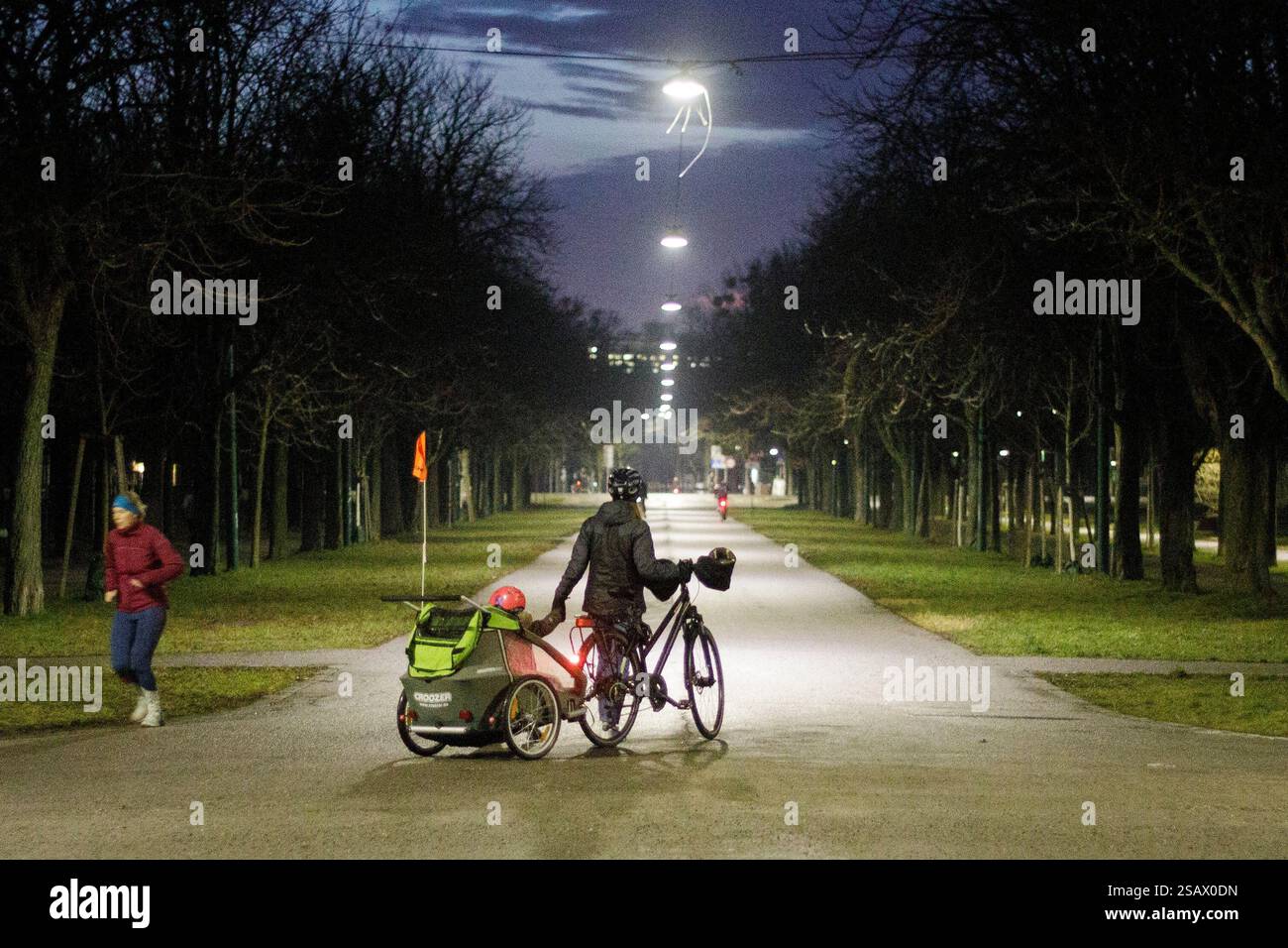 Vienna, Austria. 24th Jan, 2025. Cyclist with trailer and child in the ...