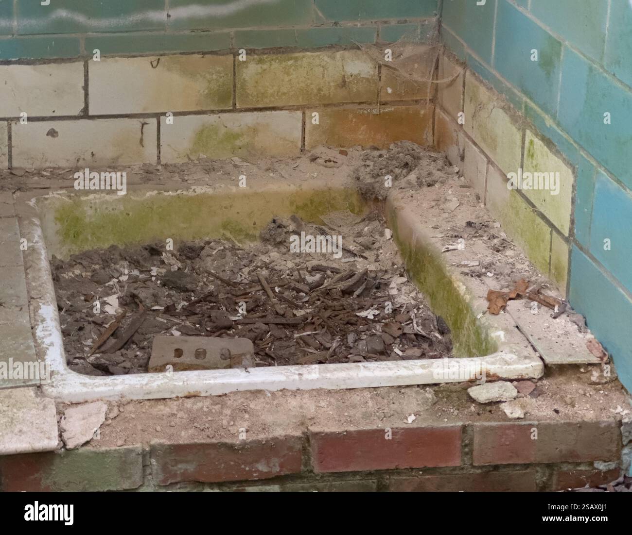 Old shower basin in need of renovation in a bathroom Stock Photo - Alamy