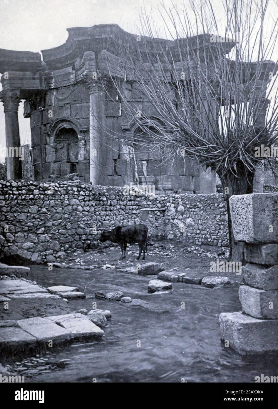 Temple of Venus, Baalbec, [Baalbek Lebanon] from 'The Holy Land' by ...