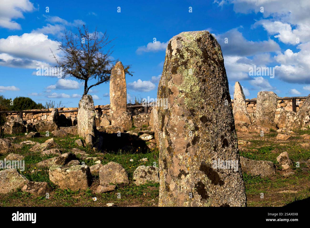 Necropoli neolitica hi-res stock photography and images - Alamy