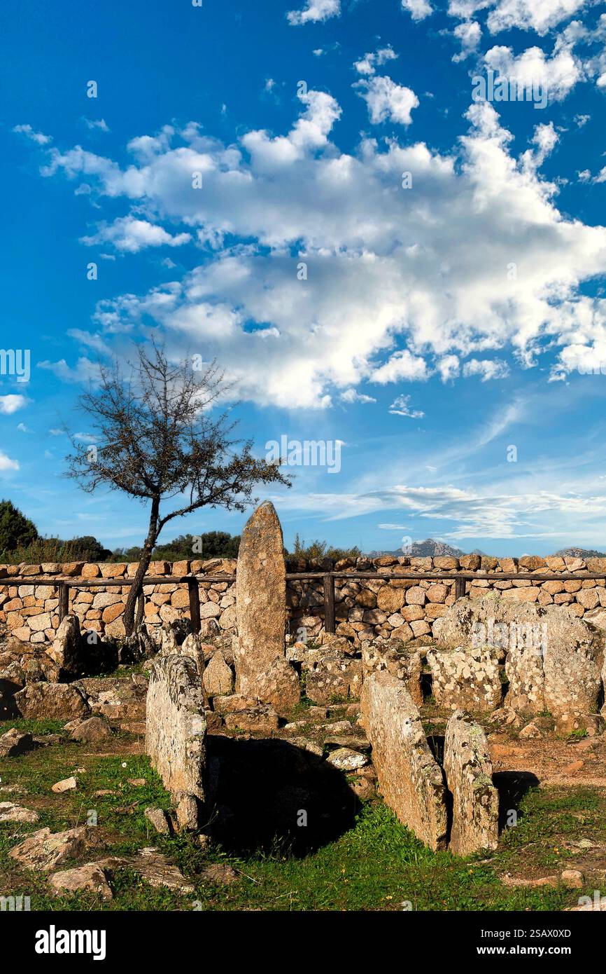 Italy Sardinia Arzachena (OT) The Neolithic necropolis of Li Muri dates ...