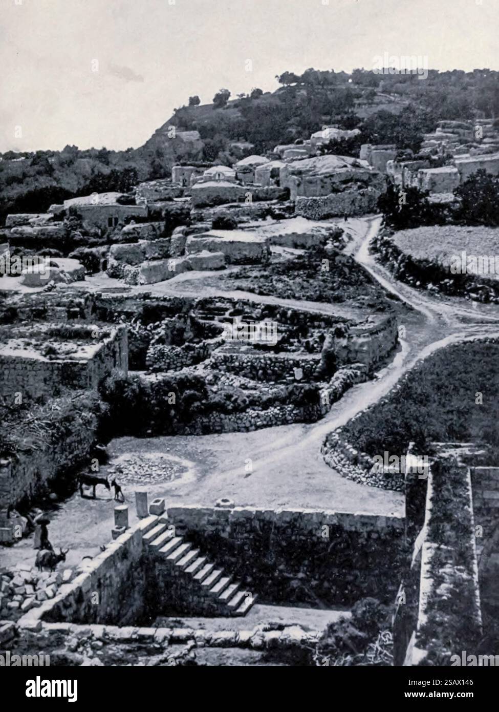 Ruins of Samaria, the Northern Capital Samaria was the capital city of ...