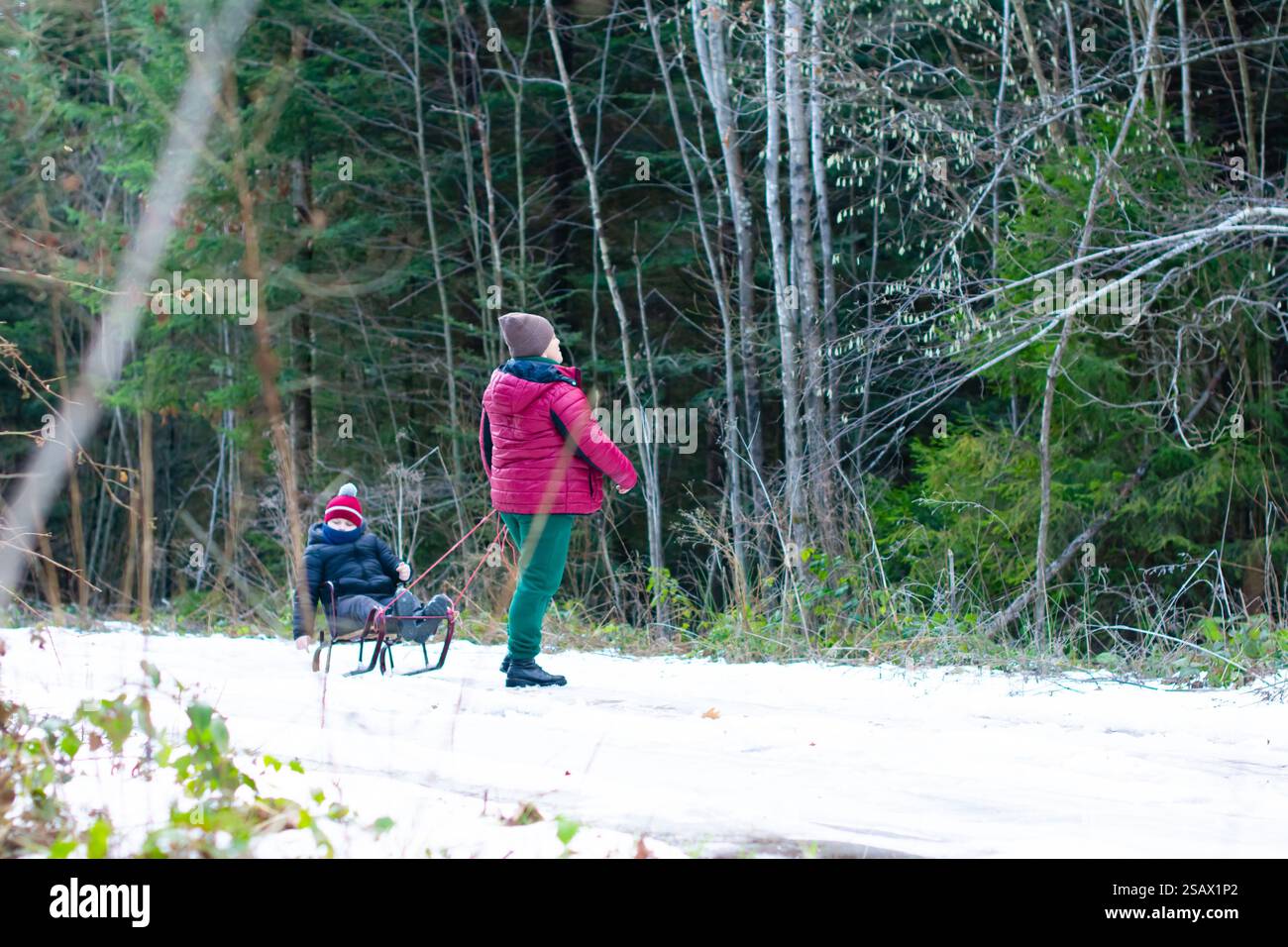 A heartwarming winter scene: an adult pulls a child on a sled through a ...