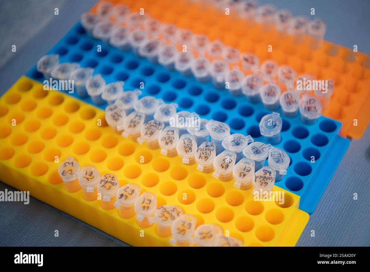 clear plastic vials in yellow blue orange rack holders Stock Photo - Alamy