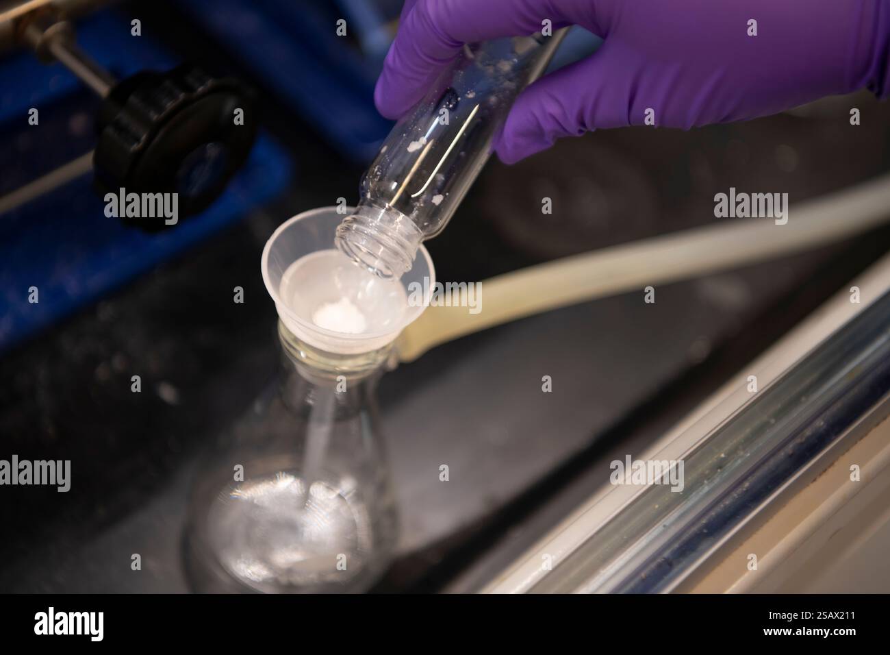 gloved hand pours clear solution into flask in a biotech science lab ...