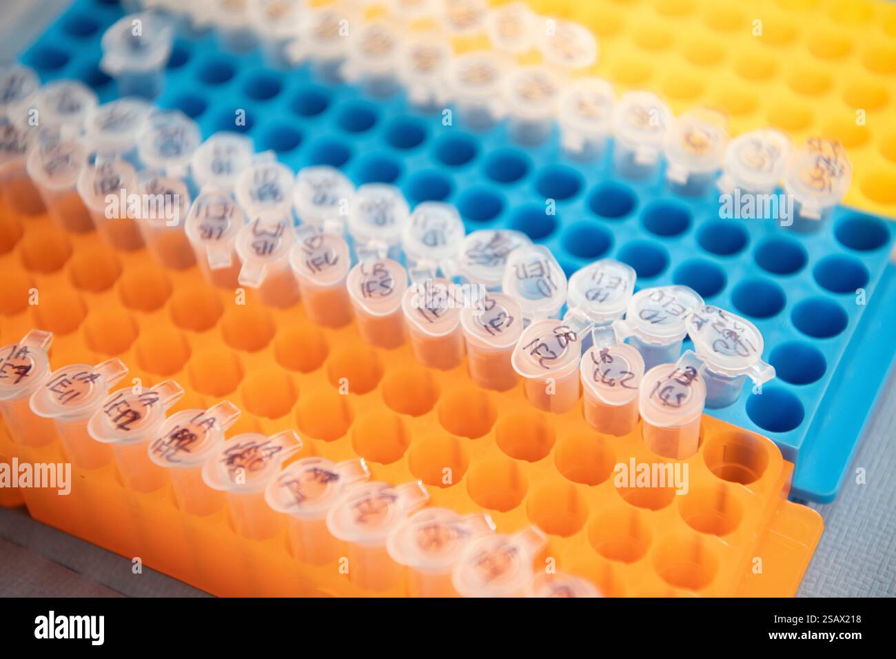 clear plastic vials in yellow blue orange rack holders Stock Photo - Alamy