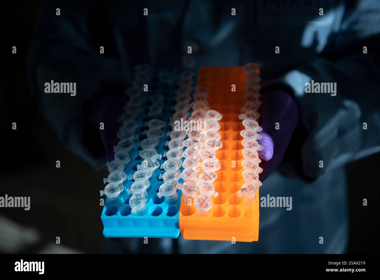 Lab tech carrying vial rack holders in a darkened science lab Stock ...