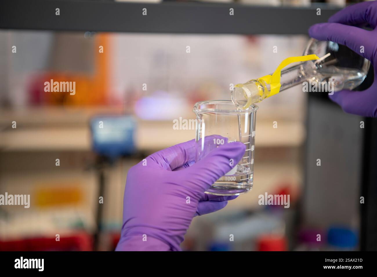Gloved hands pour clear liquid from flask small beaker science lab ...