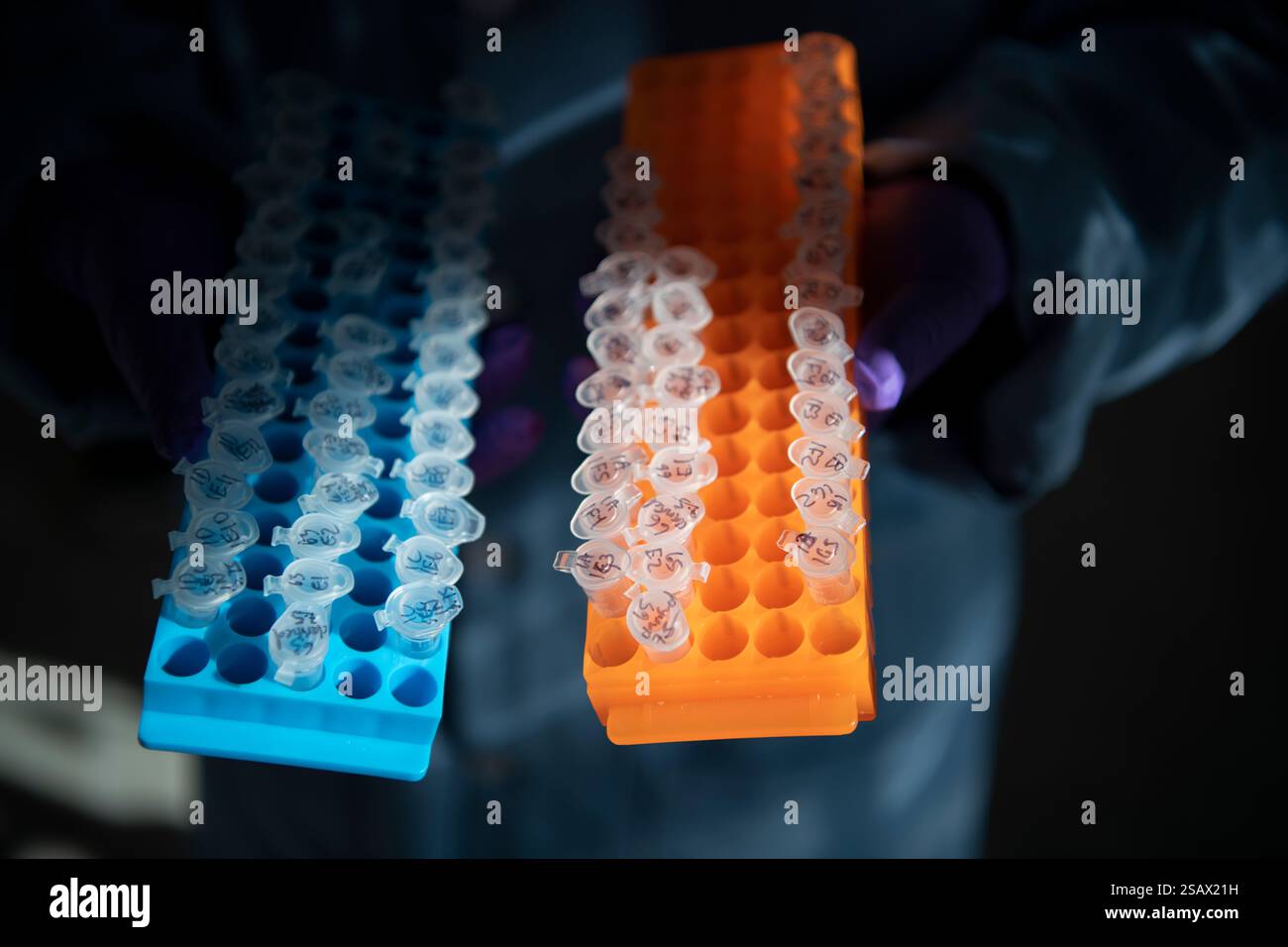 Lab tech carrying vial rack holders in a darkened science lab Stock ...