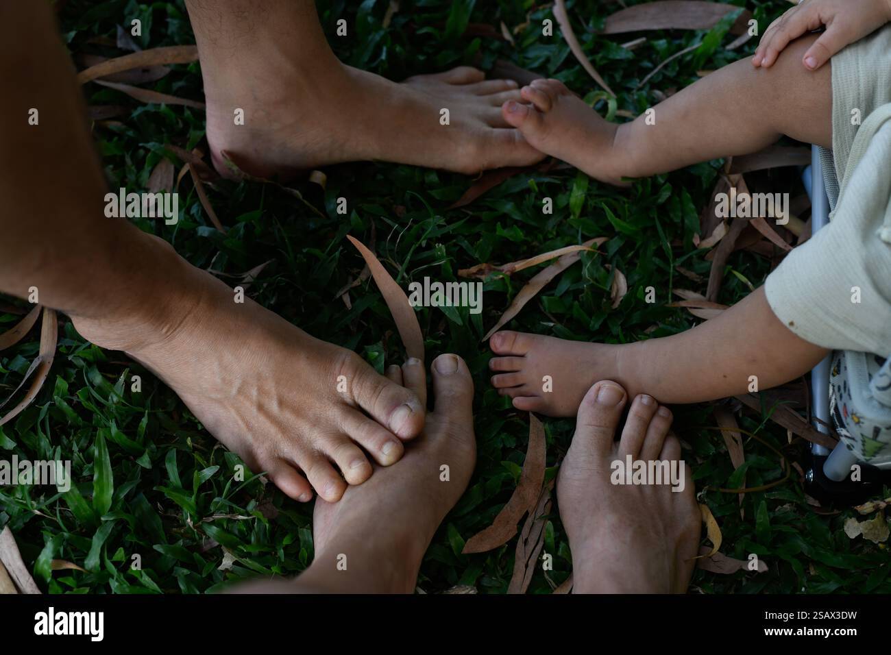 over head view of three pairs of feet family with baby on grass Stock ...
