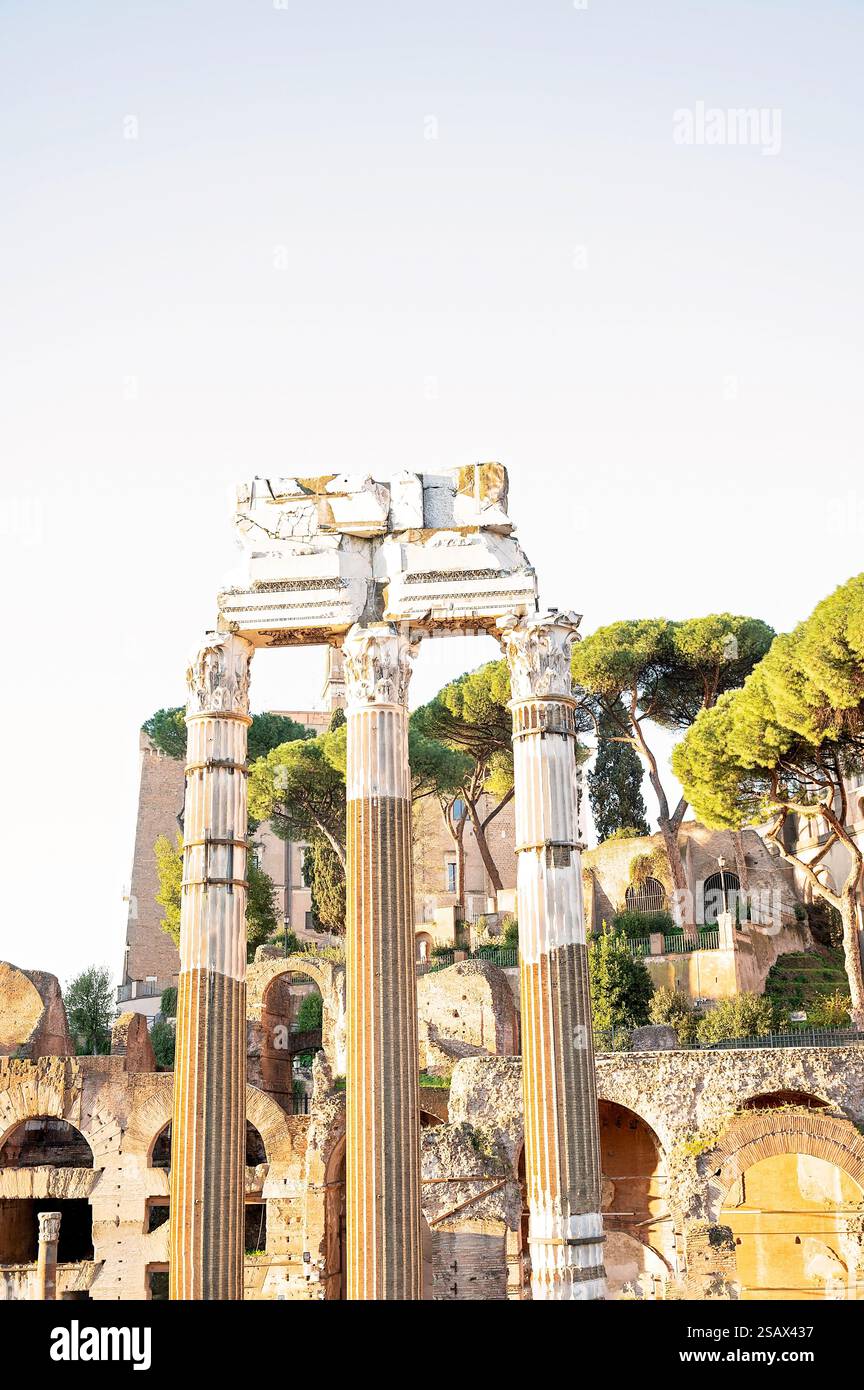 Ancient Roman columns and ruins at the Roman Forum in Rome Stock Photo ...