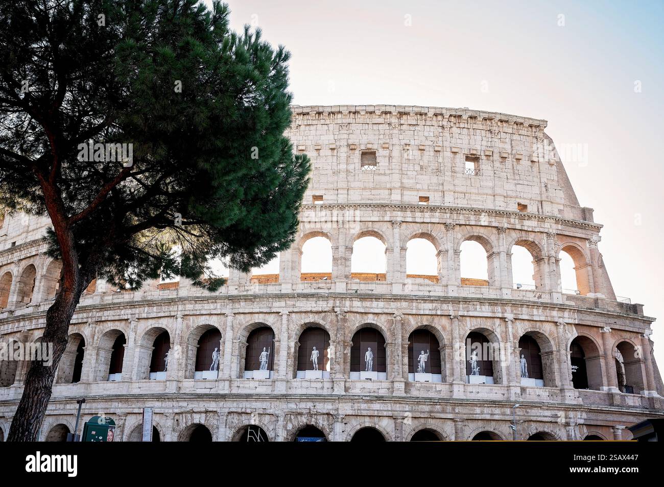 The Colosseum in Rome with arches and statues framed by a tree Stock ...