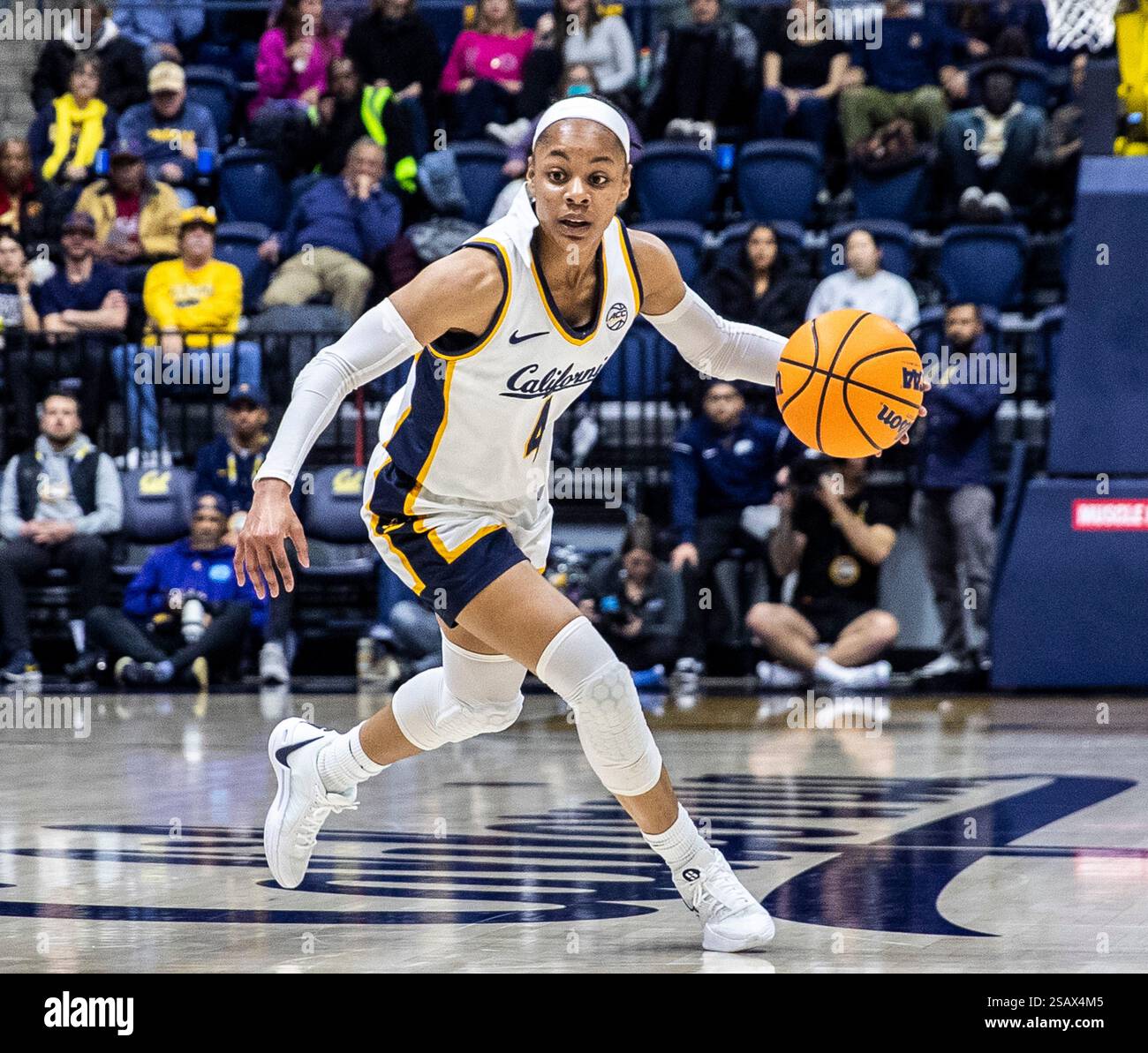 2025 0292 jpg hi-res stock photography and images - Alamy