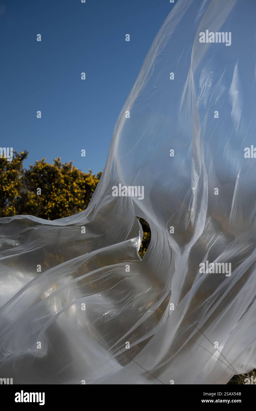 Plastic Sheet Draped Over Yellow Flowers Stock Photo - Alamy