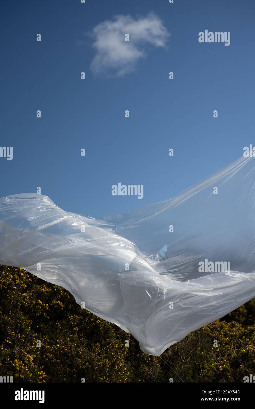 Plastic Sheet Draped Over Yellow Flowers Stock Photo - Alamy