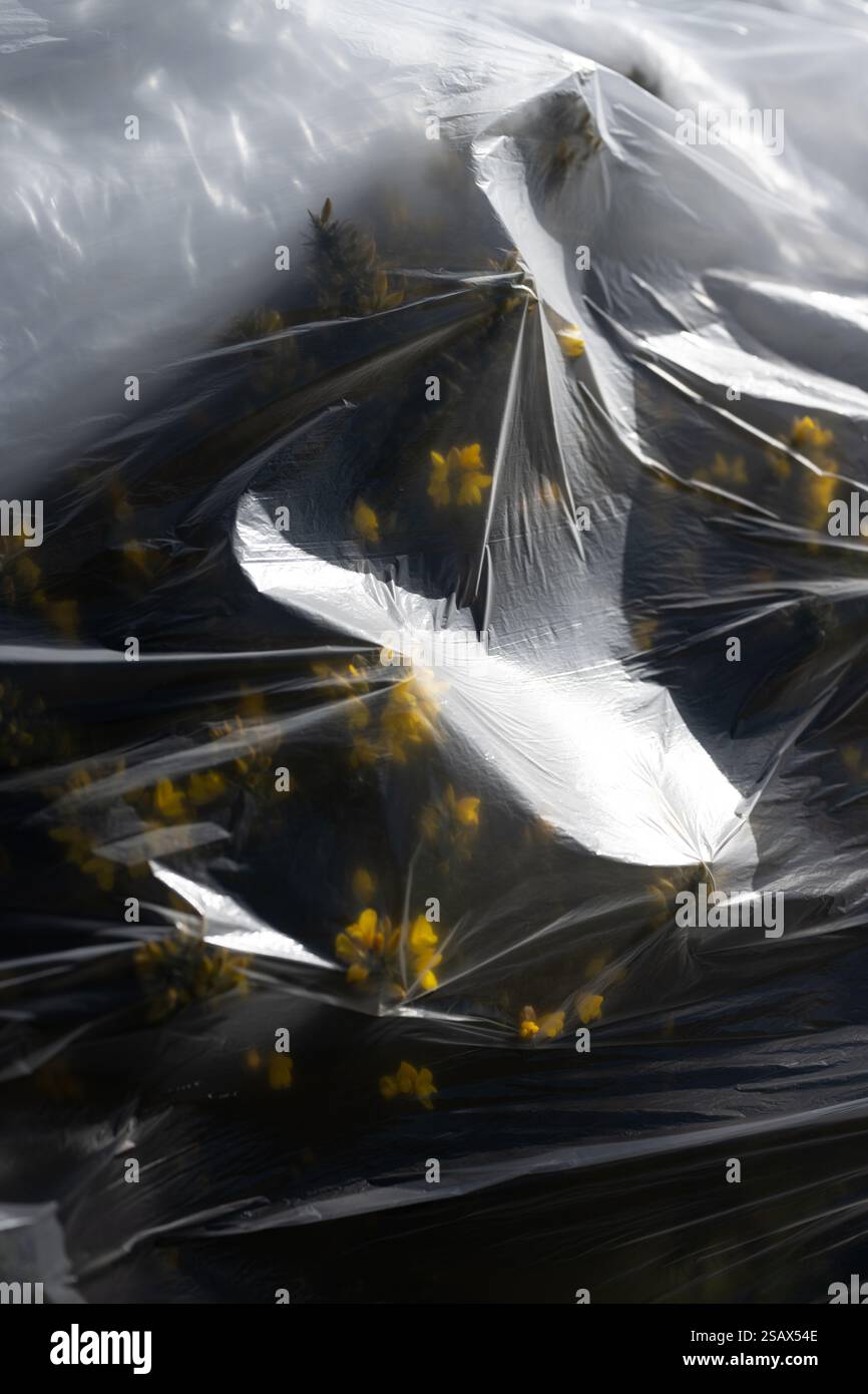 Solutions to plastic pollution hi-res stock photography and images - Alamy