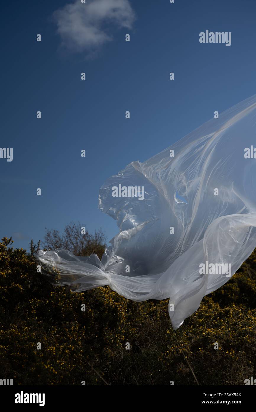 Plastic free alternatives hi-res stock photography and images - Alamy