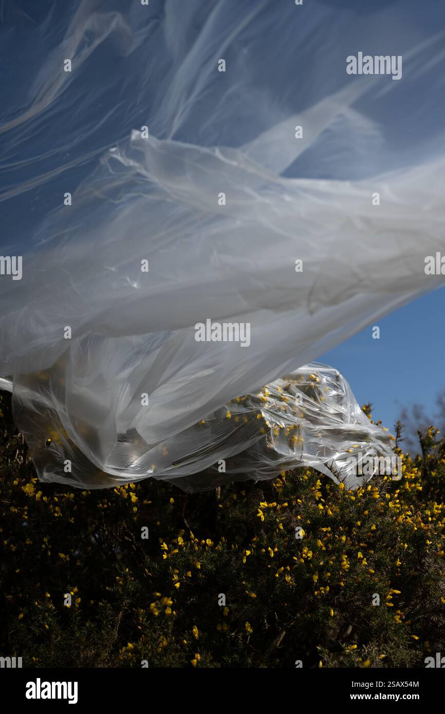 Plastic Sheet Draped Over Yellow Flowers Stock Photo - Alamy