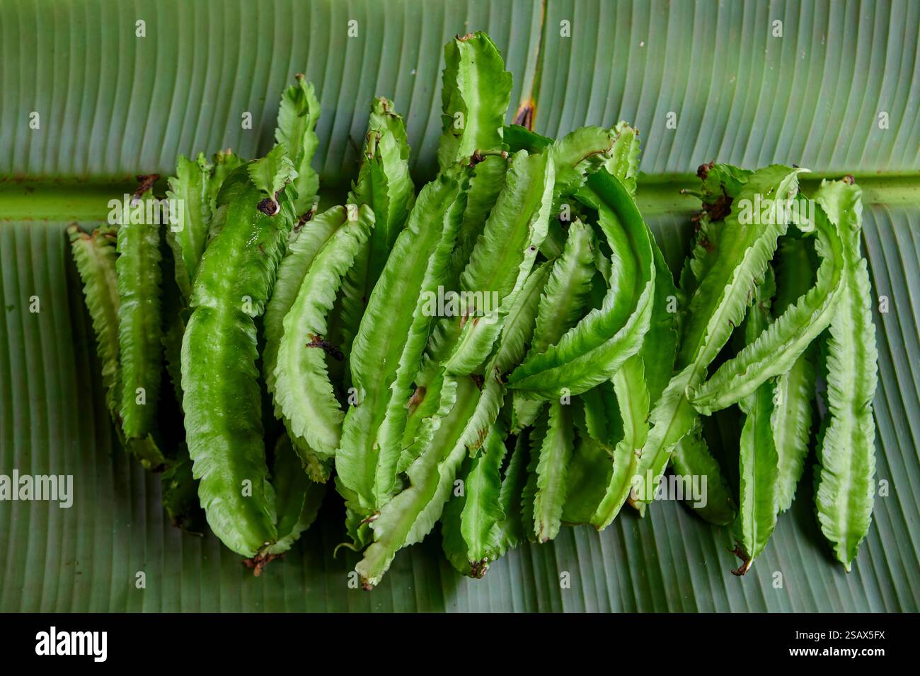 Pile of fresh Winged bean on leaf Stock Photo - Alamy