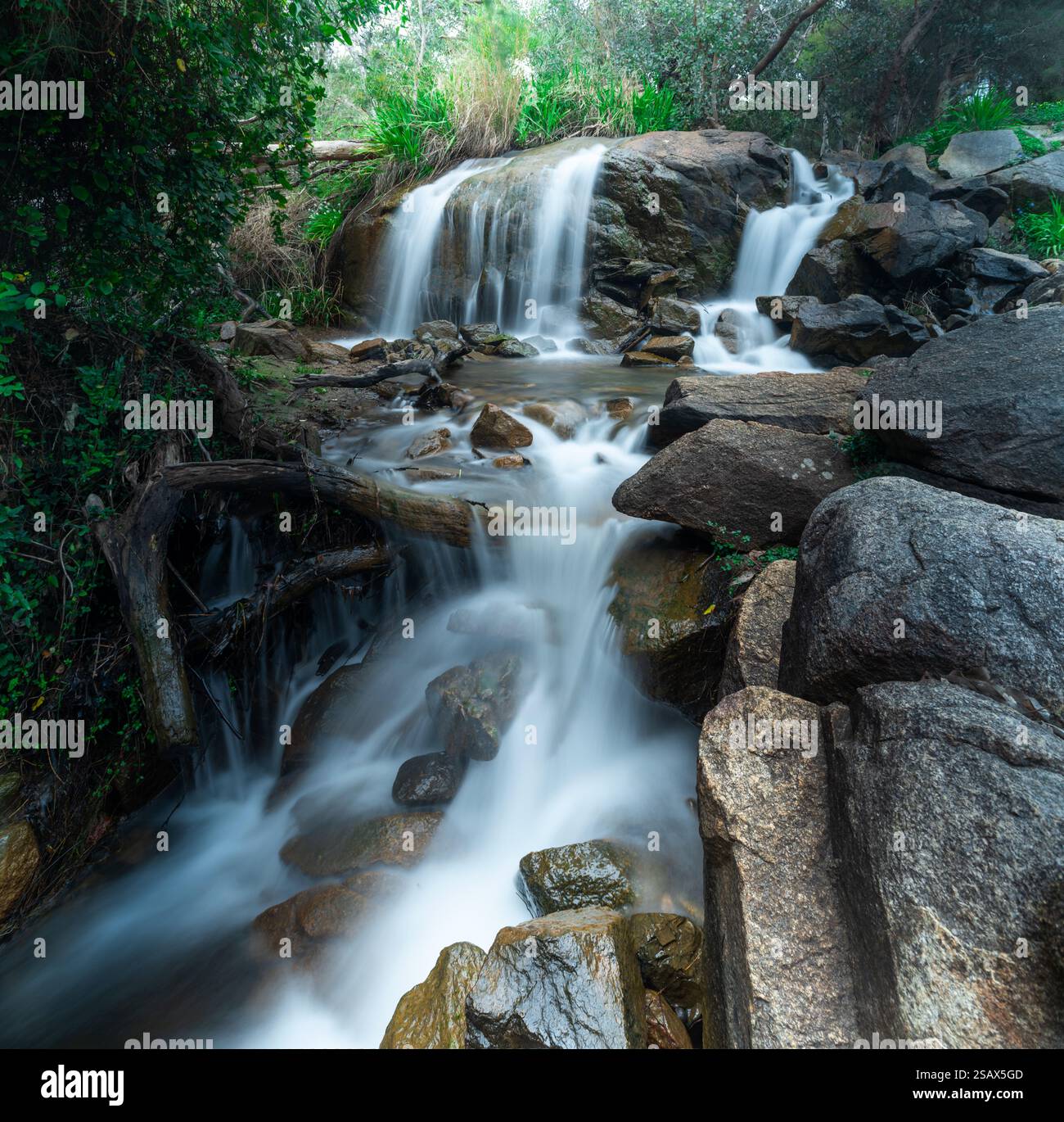 waterfall in the forest with rocks and trees Stock Photo - Alamy
