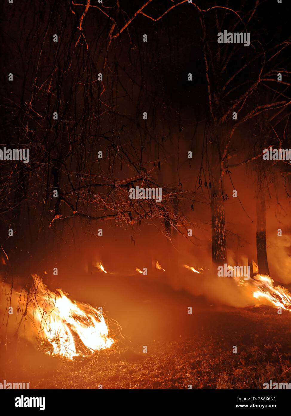 River in wild forest night hi-res stock photography and images - Alamy